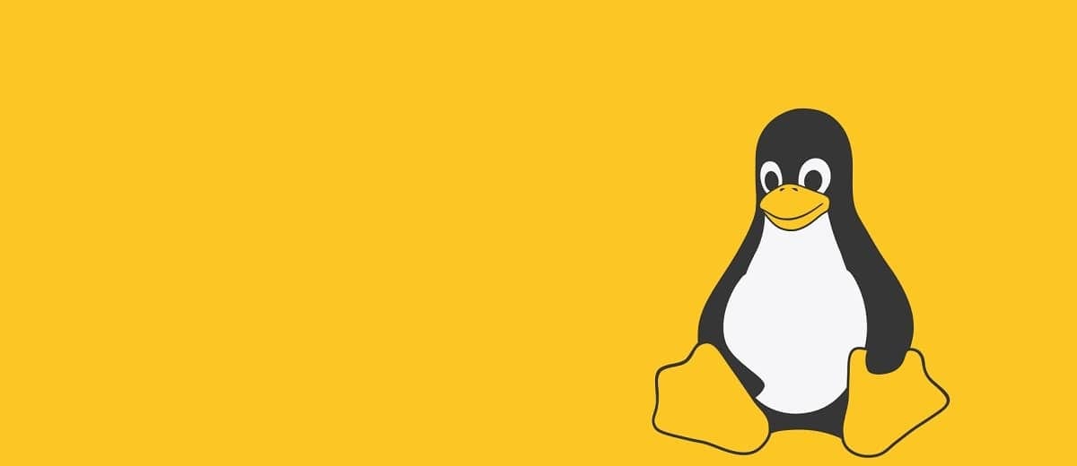 Linux Kernel 6.12: Features, Improvements, and Why Debian 13 Should ...