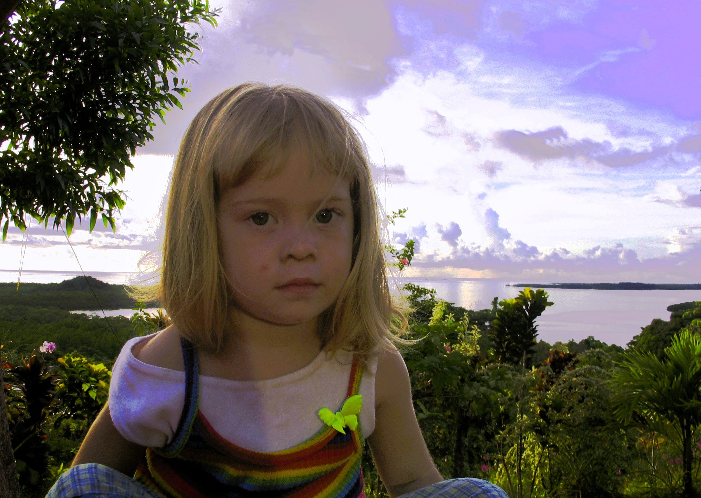 The Trade - by Jonathan Gourlay - Desire Paths