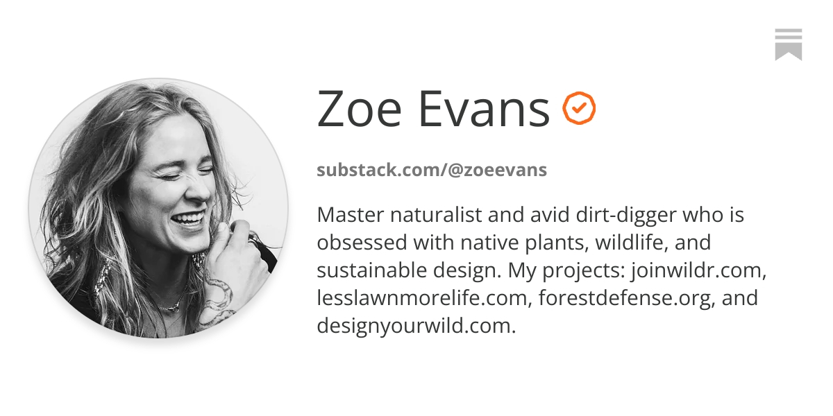 Zoe Evans | Substack