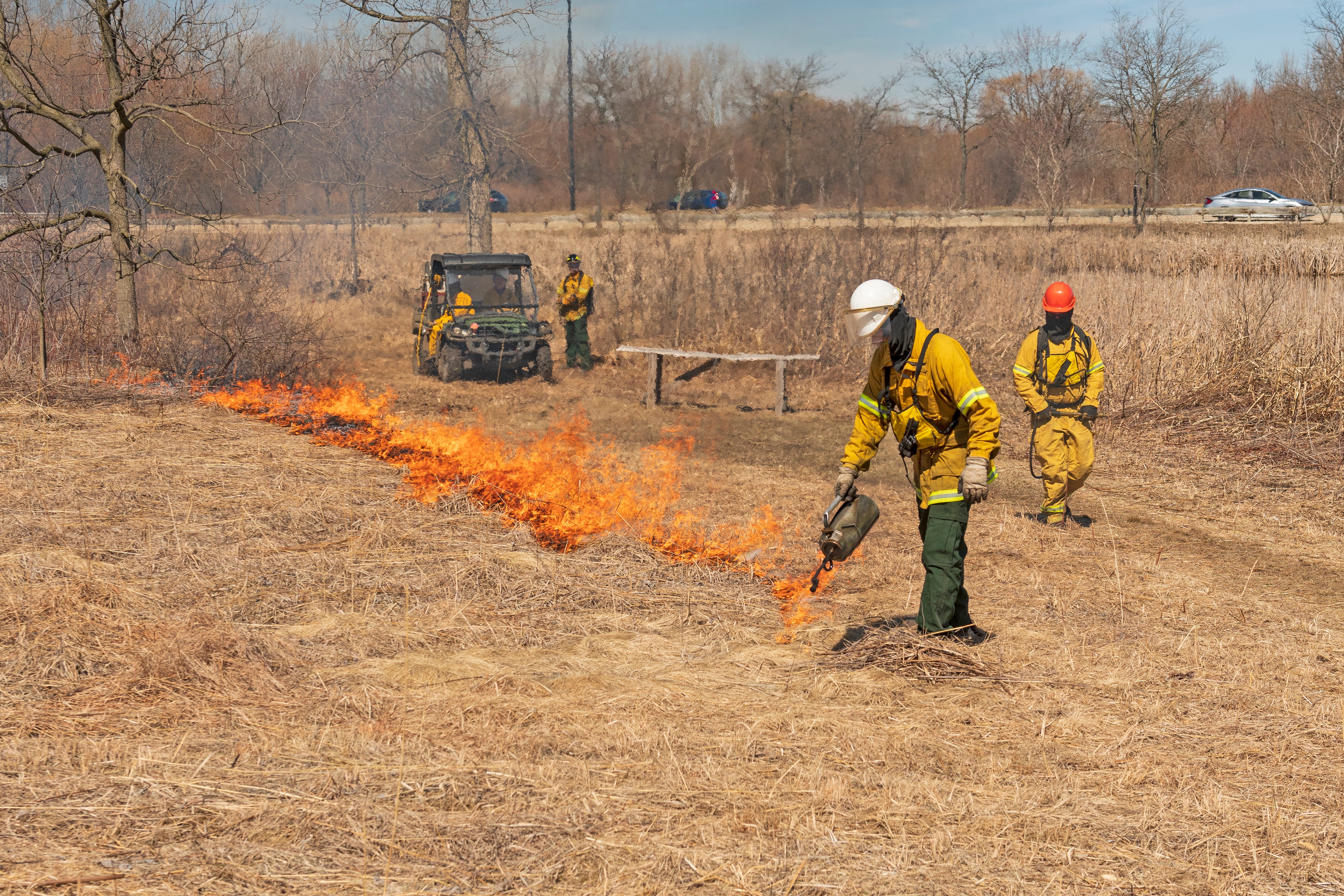 Shutdown Causes ‘Confusion’ Across the Forest Service