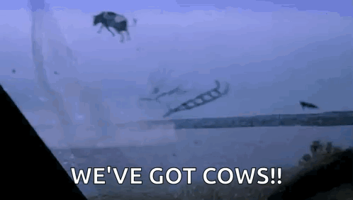 Scott Bessent Says We've Got Cows - by Gary Legum