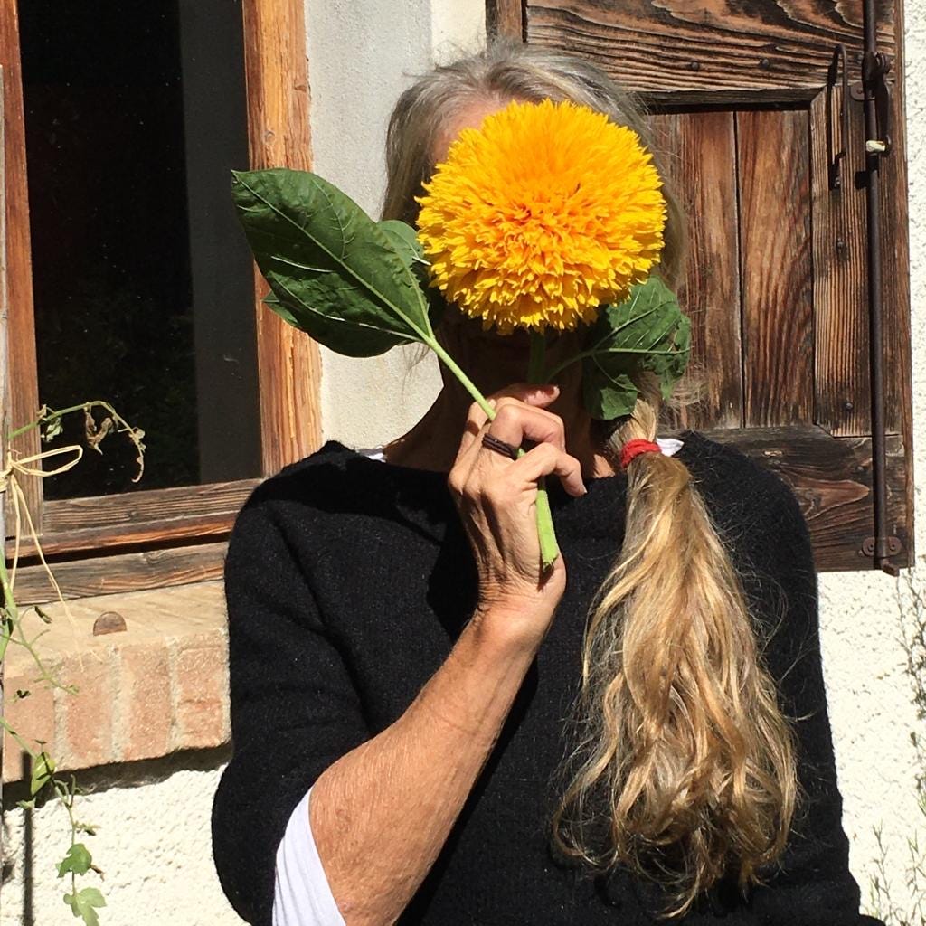 Catherine Perversi | Substack