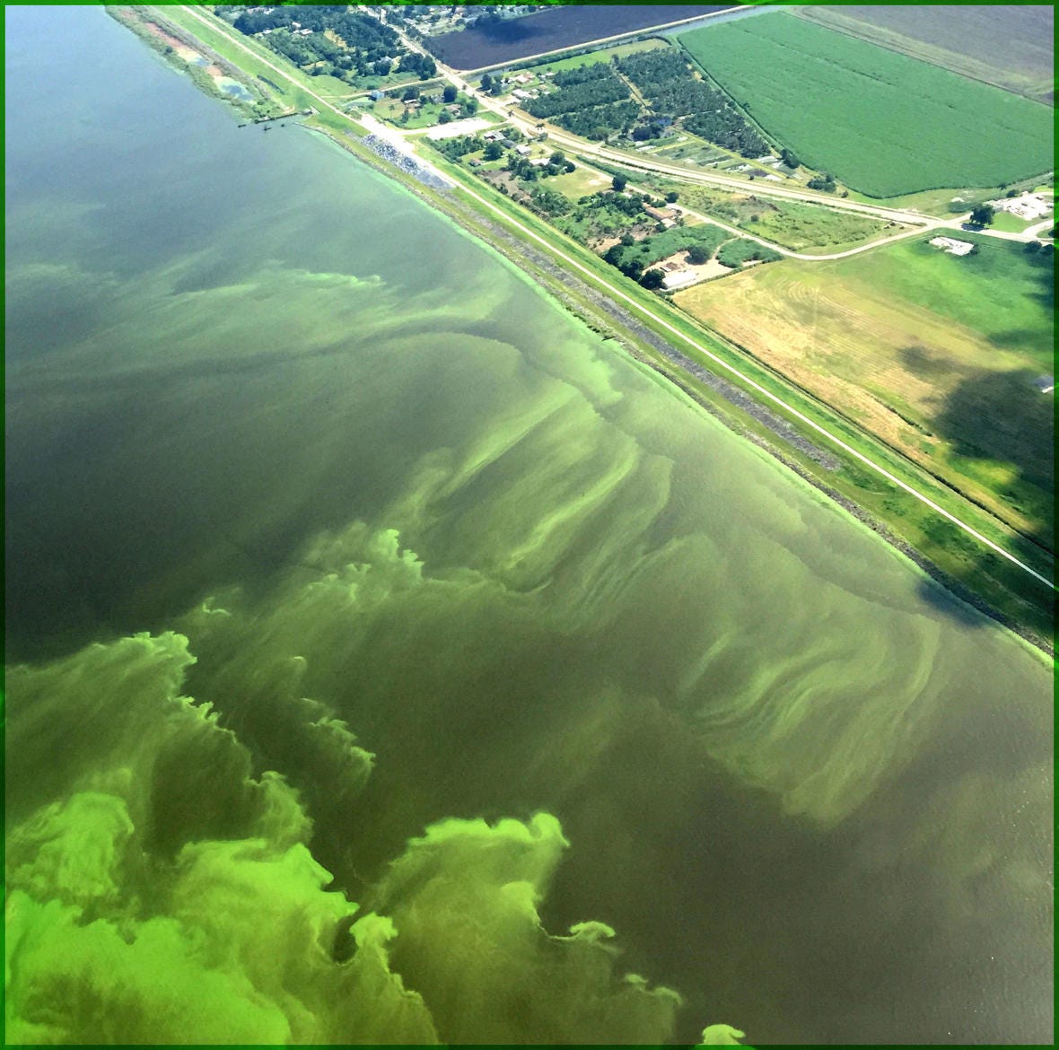Curbing Polluting Farm Runoff Is Key to Fighting the Epidemic of Toxic ...