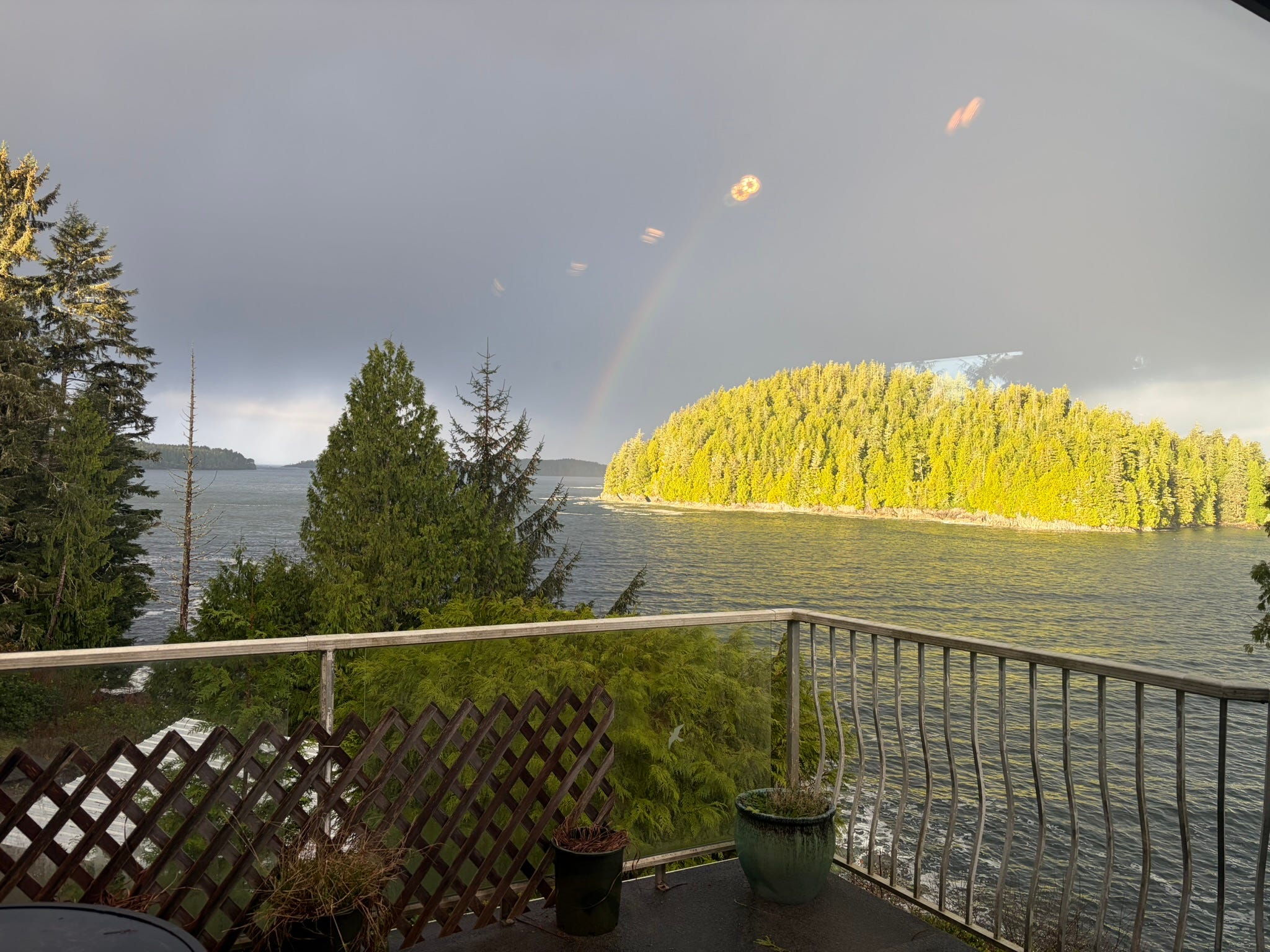 A Letter from Tom, January 2026 Edition - Tom’s Substack