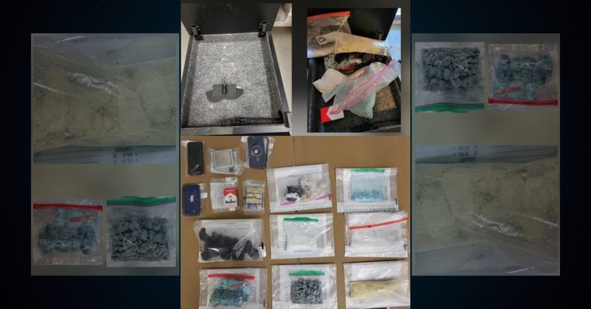 OPP Seize $259K in Drugs and Cash in Wiarton Trafficking Investigation