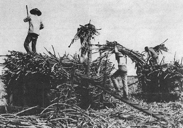 The Great Oahu Sugar Strike of 1920 Part 1