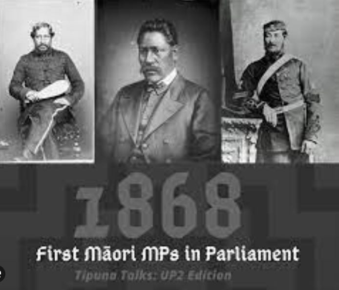 The Initiative Is Lacking on Māori Seats