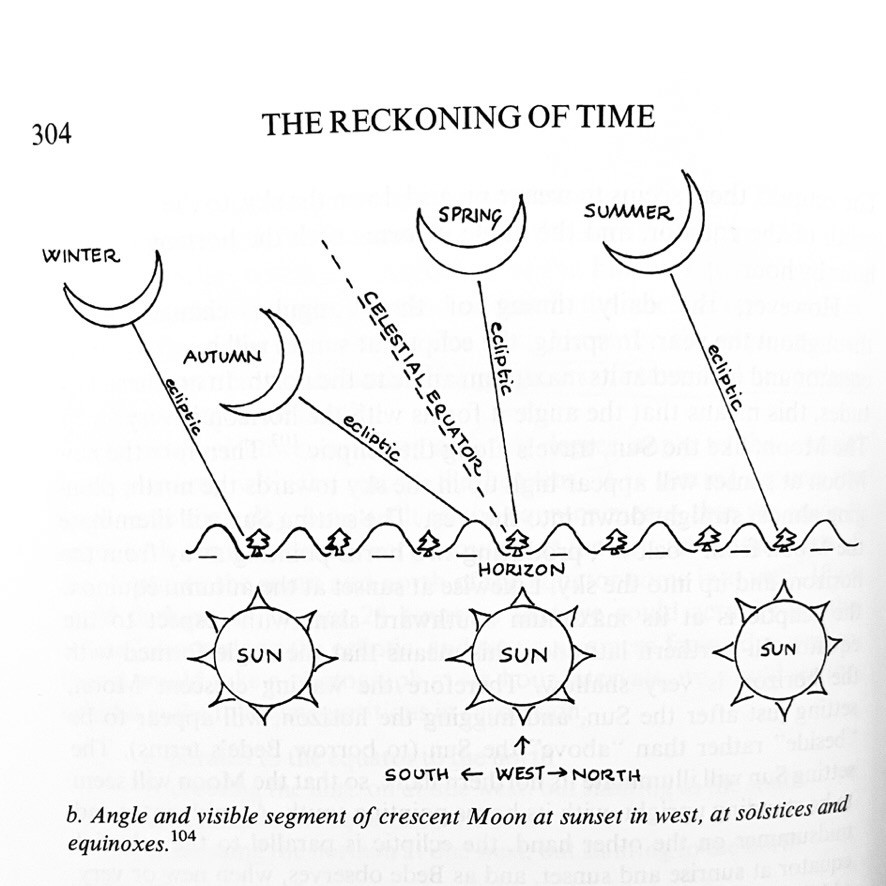 The Horns of the Moon - by April McMurtry