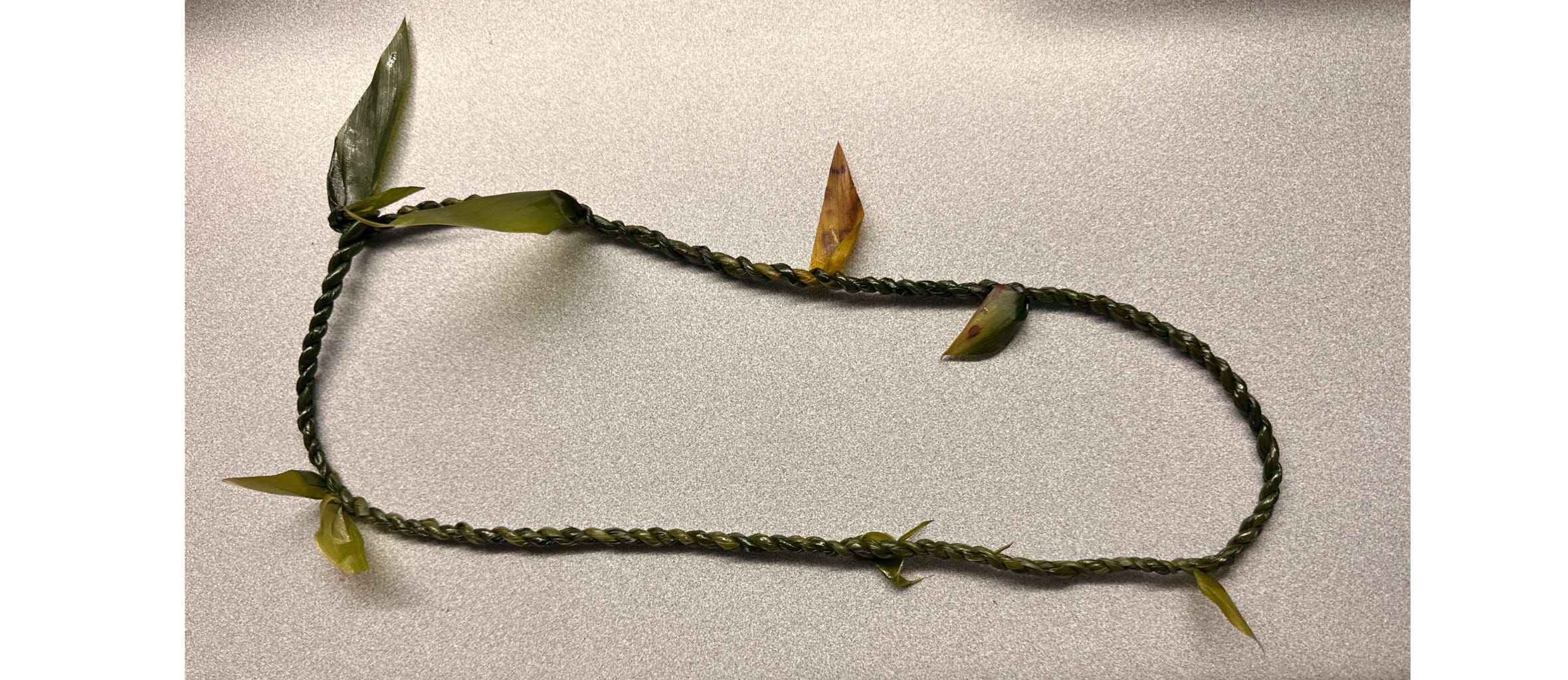 Ti leaf lei: A Hawaiian practice (Nā lei lāʻī: He hana o kanaka ‘ōiwi)