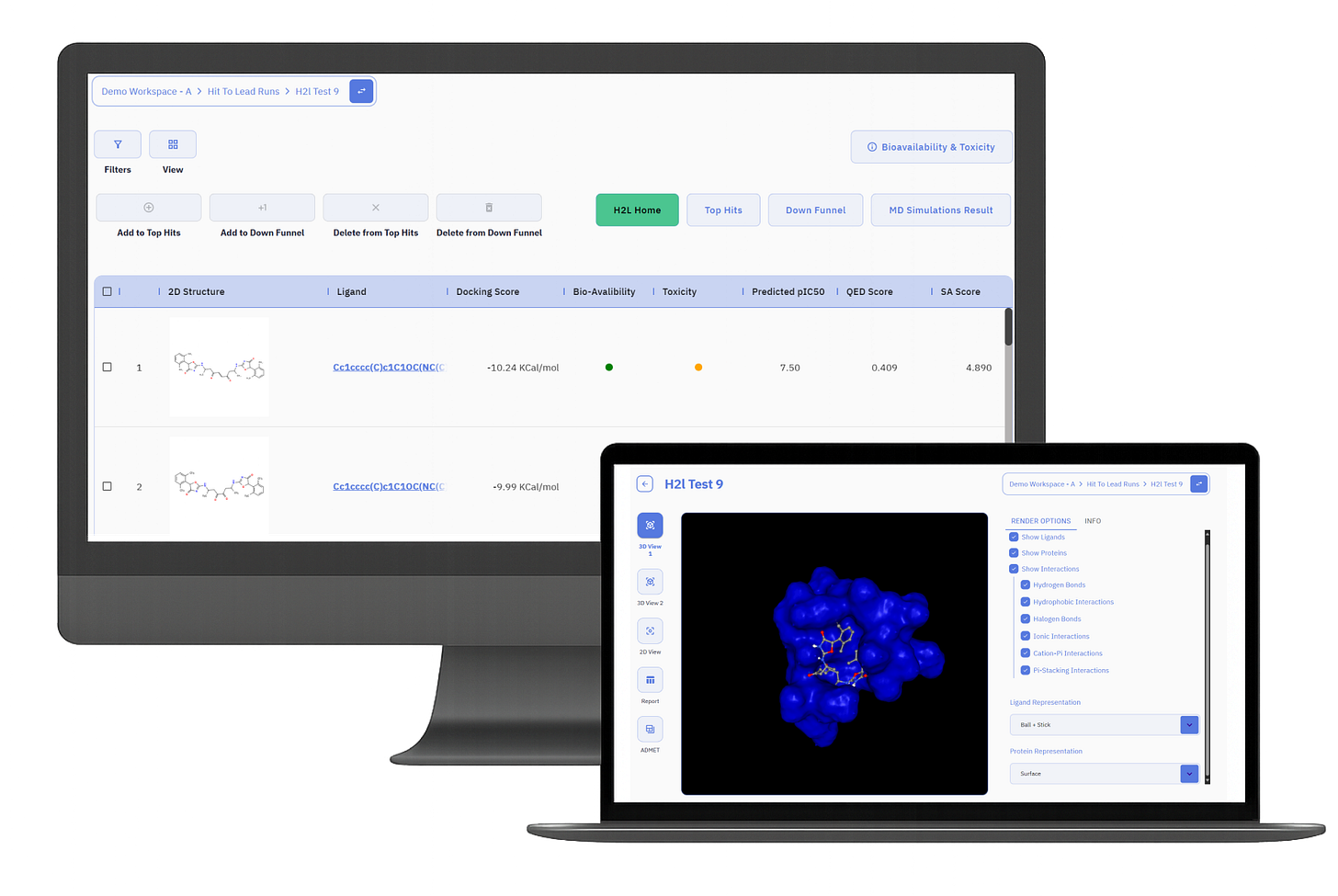 Hit to Lead Optimization in Drug Discovery: From Early Hits to High ...