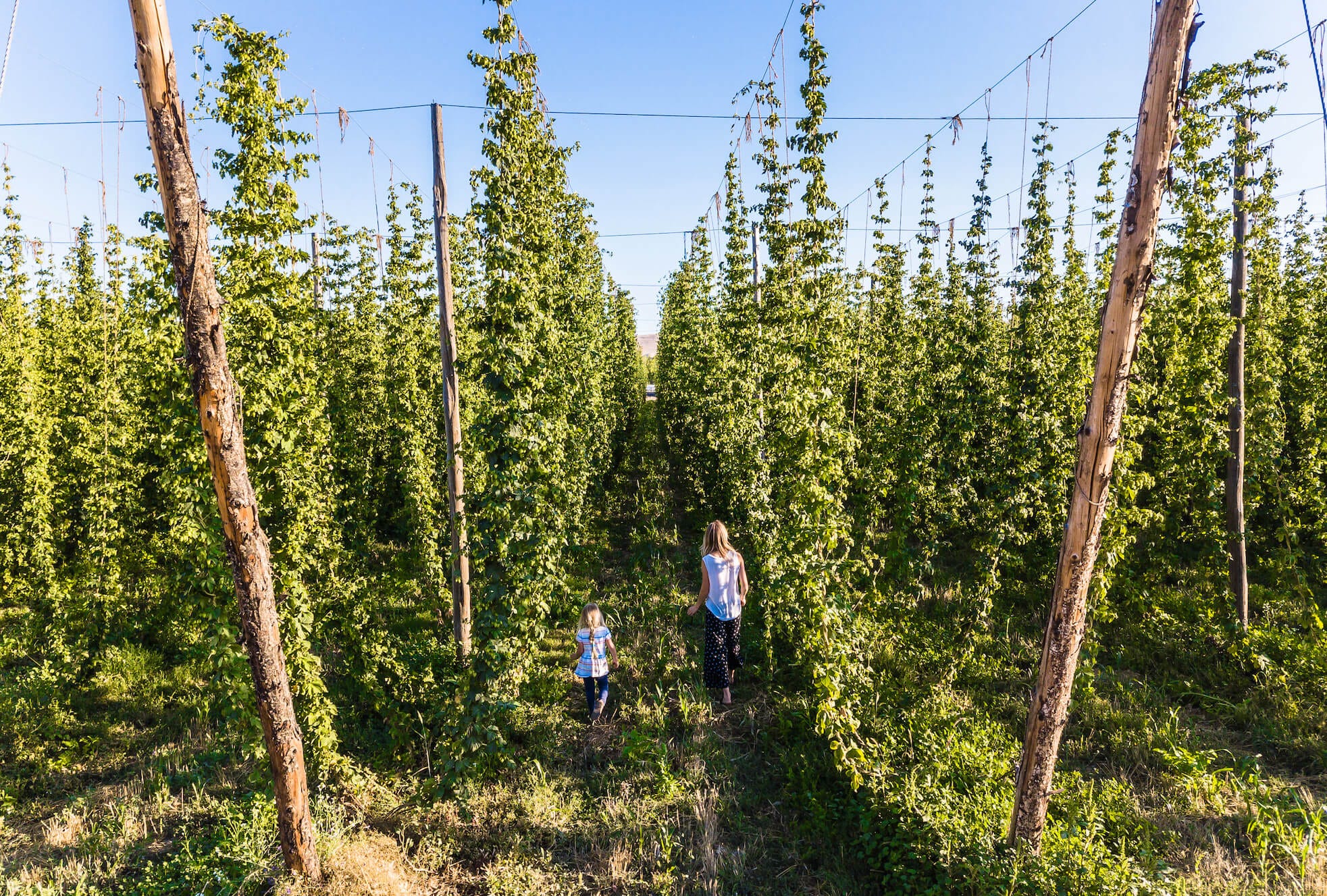 Ballard Brewery District Best Breweries and Map near Seattle