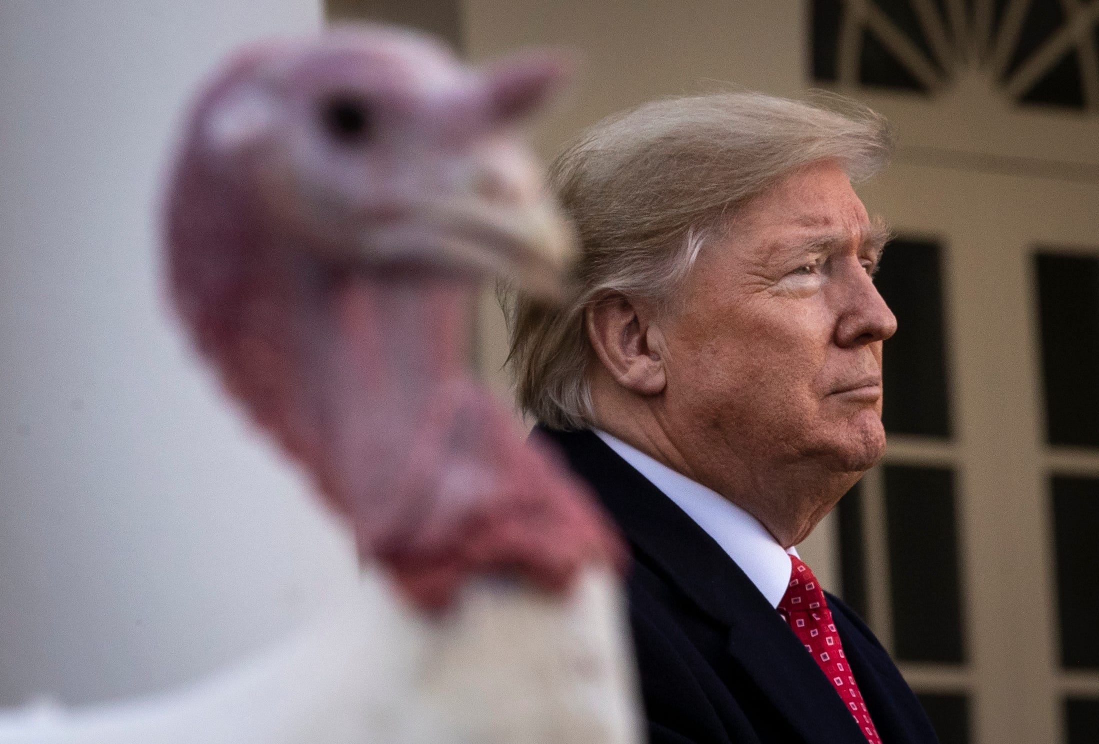Turkey Day With a Turkey President