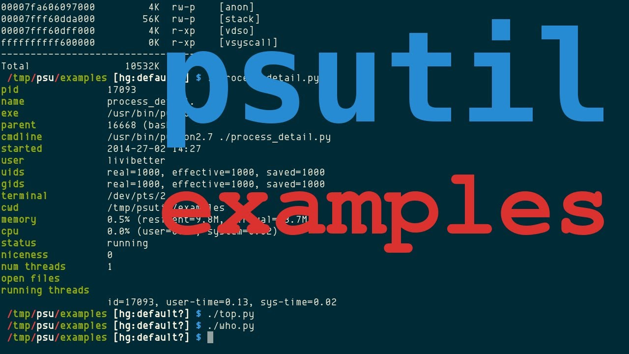 psutil: Python's All-in-One System Monitor - by Meng Li
