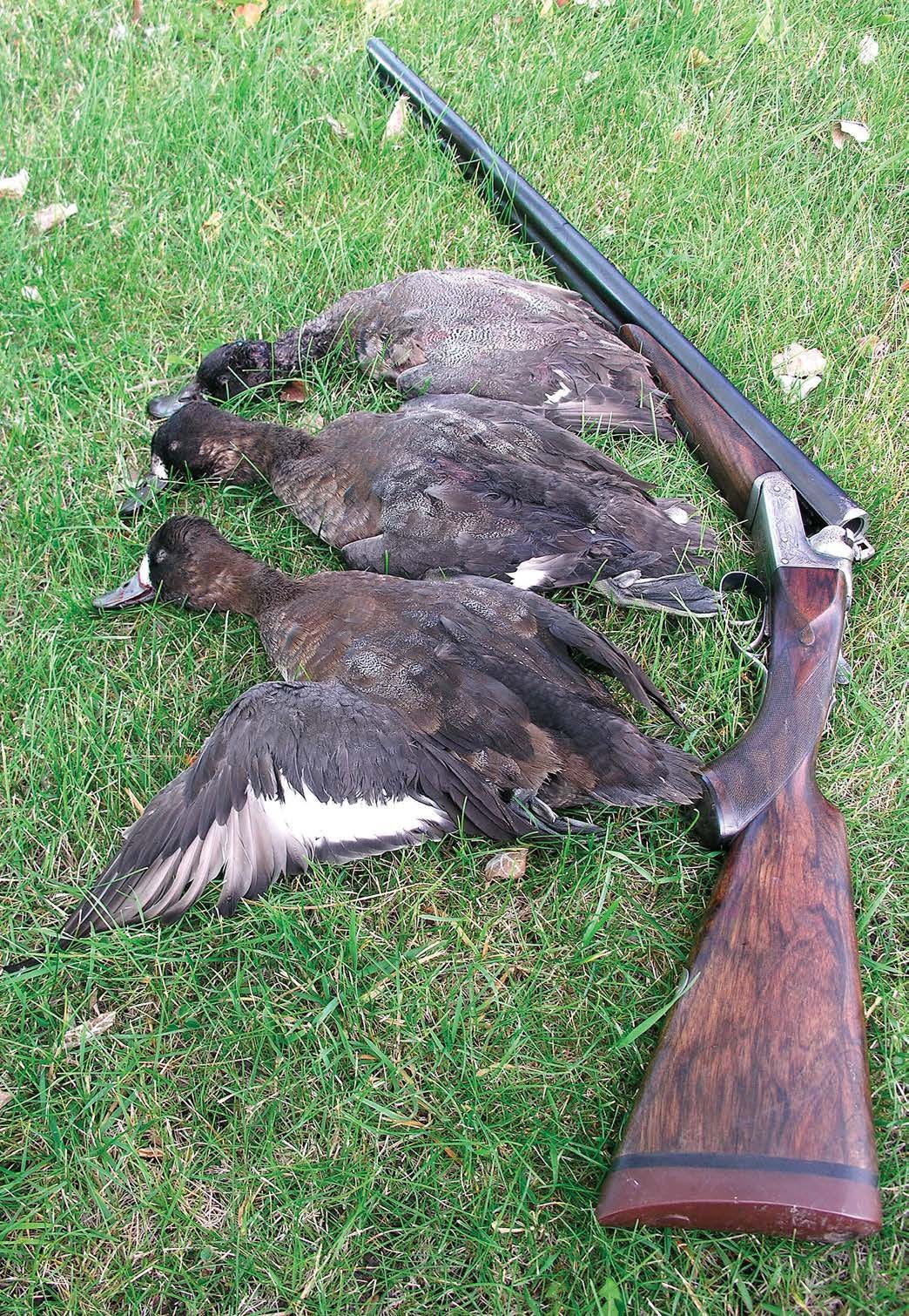 Waterfowling And Waterfowl Guns - The Double Gun Journal