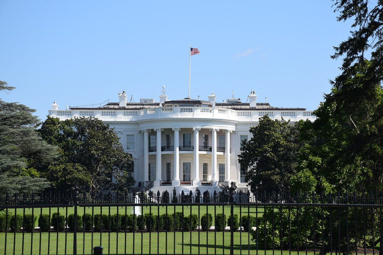 Civics Made Easy: Fun Activities to Learn About the Three Branches of ...