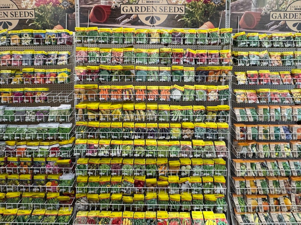 Seed Displays and Catalogs Are Here