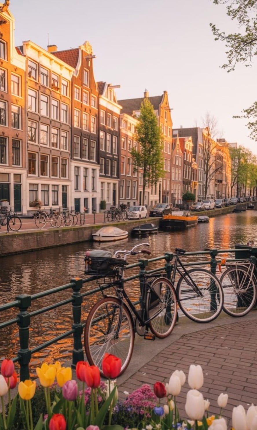 The Dutch Took Down the Motherless site