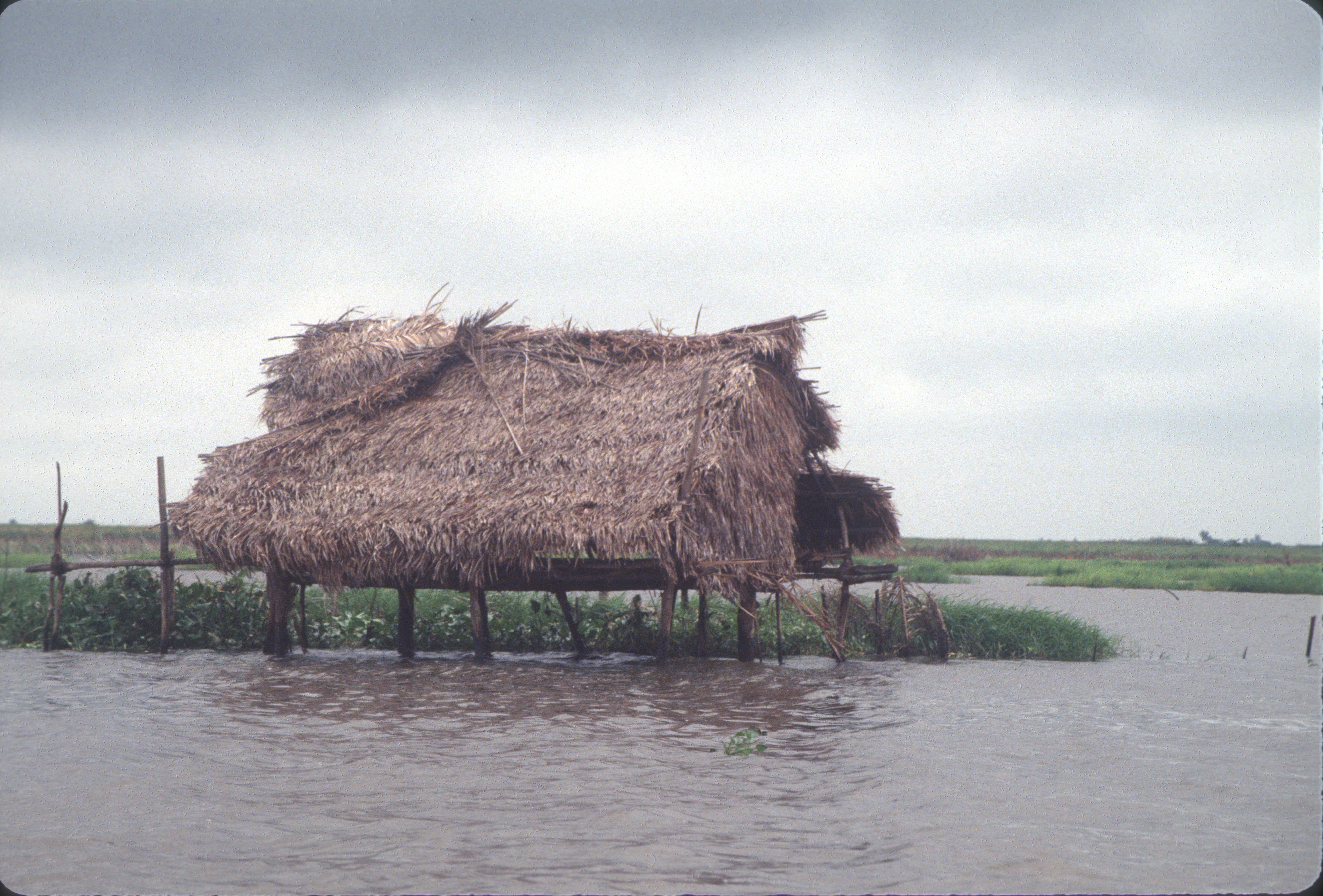 The Stilt Villages - by Brad Yonaka - Odyssey And Meaning