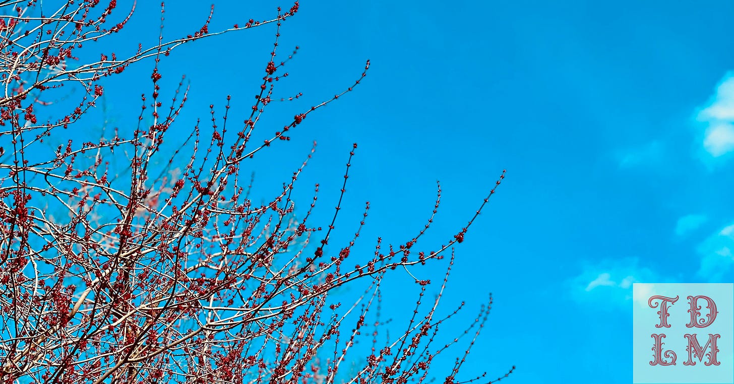 What is daily life? - TheDailyLifeMagazine