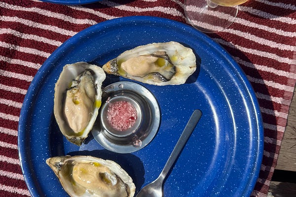 This Shit Rocks | Sara Tane | Substack