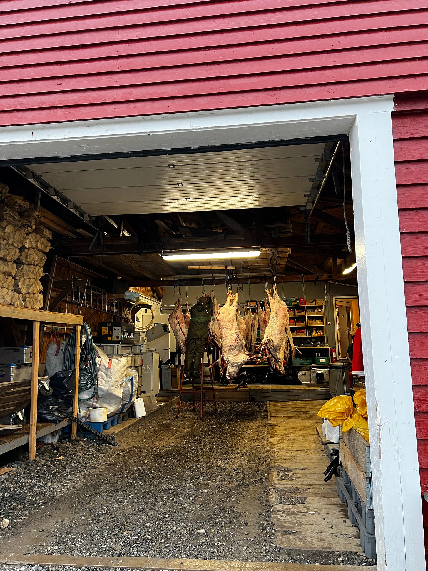 Norway, the food way - by Emily Ziemski - More or Less