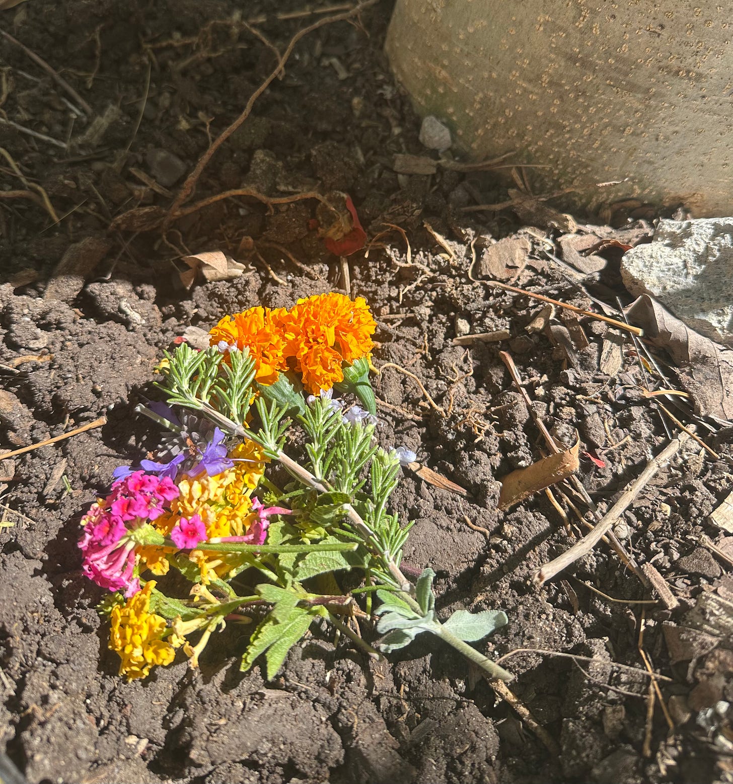 The Red Thread: Loss, Lineage, and Remembering