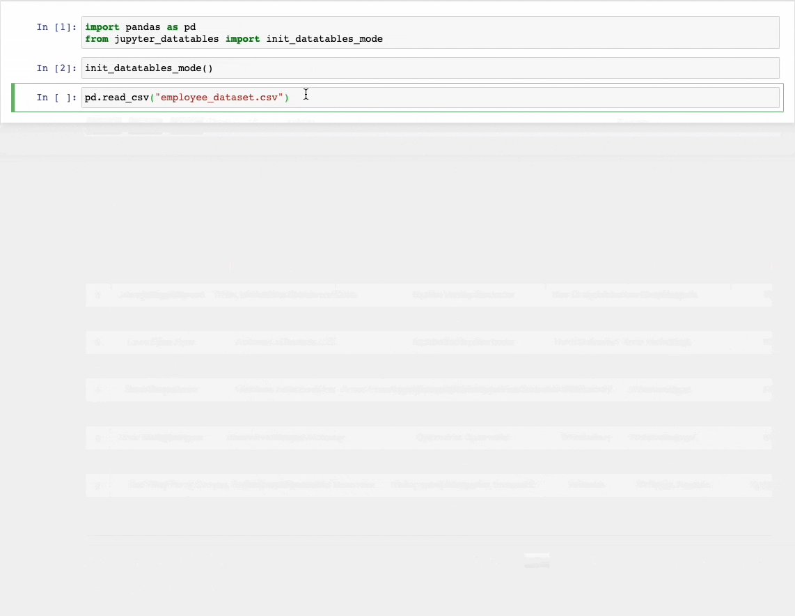 Enrich The Default Preview of Pandas DataFrame with Jupyter DataTables