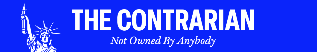 Final 2025 Roundup, from Dec. 29 & 30 - by Domenica Alioto