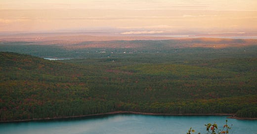 Border Co. | J. Bowyer | Substack