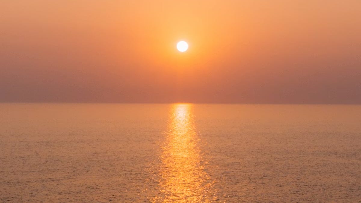 Be the Sun, Not a Flare - by Tom White - White Noise