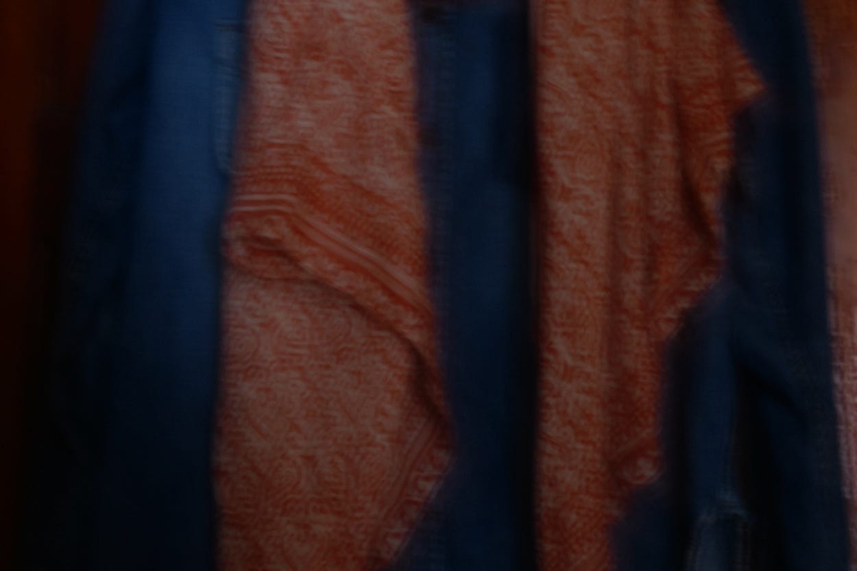 Dispatches From The Shed | Lyn Slater | Substack