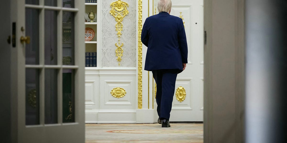 Ignoramus In Chief - Through the Fog, by Elliot Kirschner