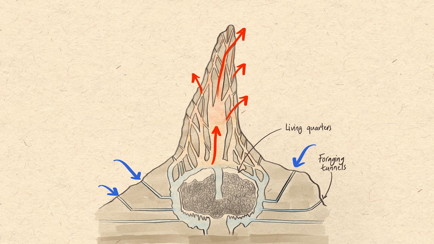 How Termites Inspired One of the Most Energy-Efficient Buildings in Africa