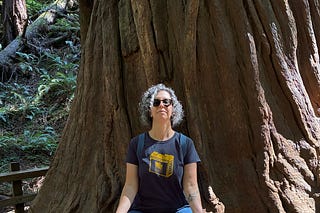 Calul Journal | Substack