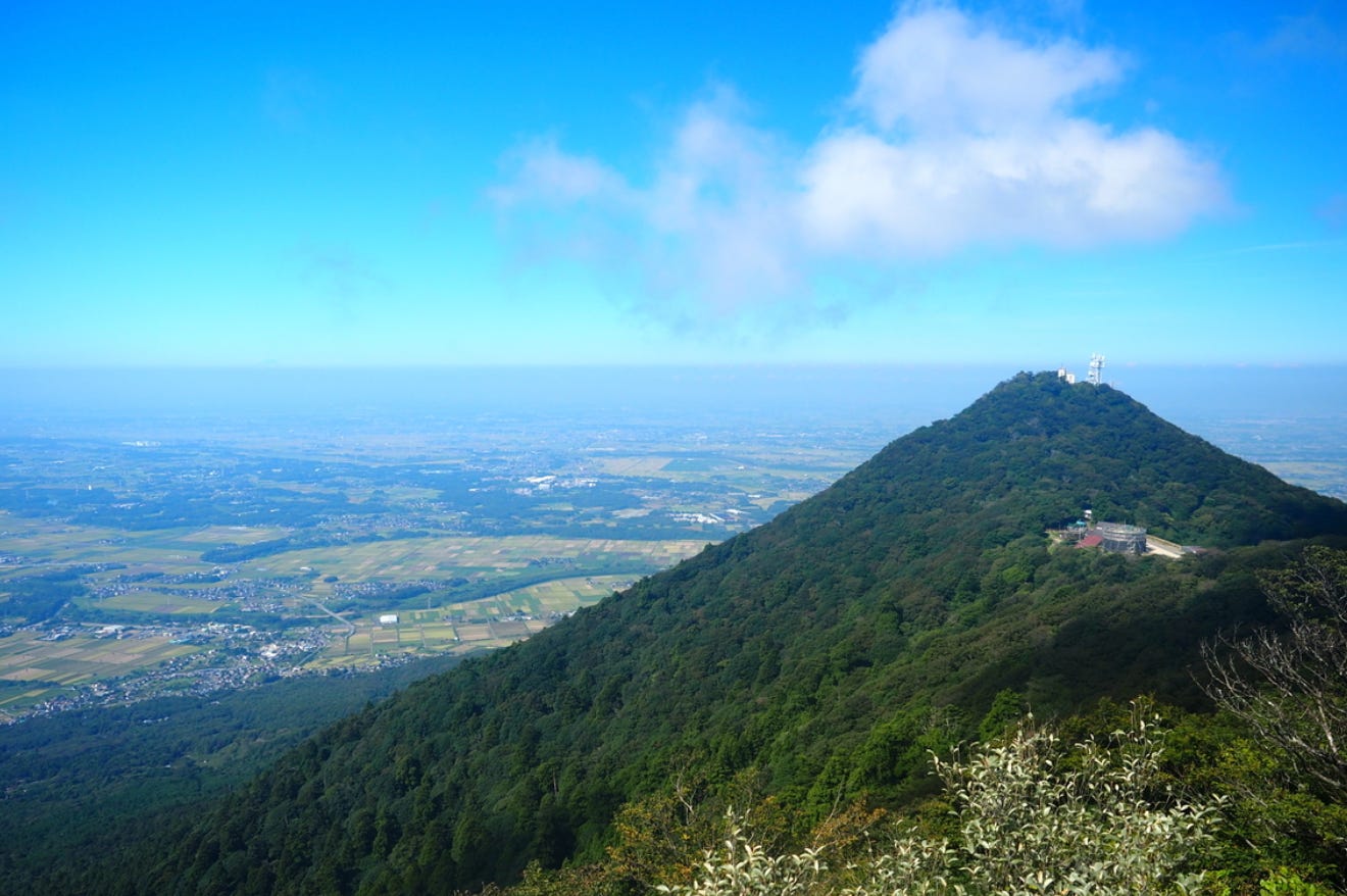 Shinrin-Yoku in Japan: How Forest Bathing Can Improve Your Health ...