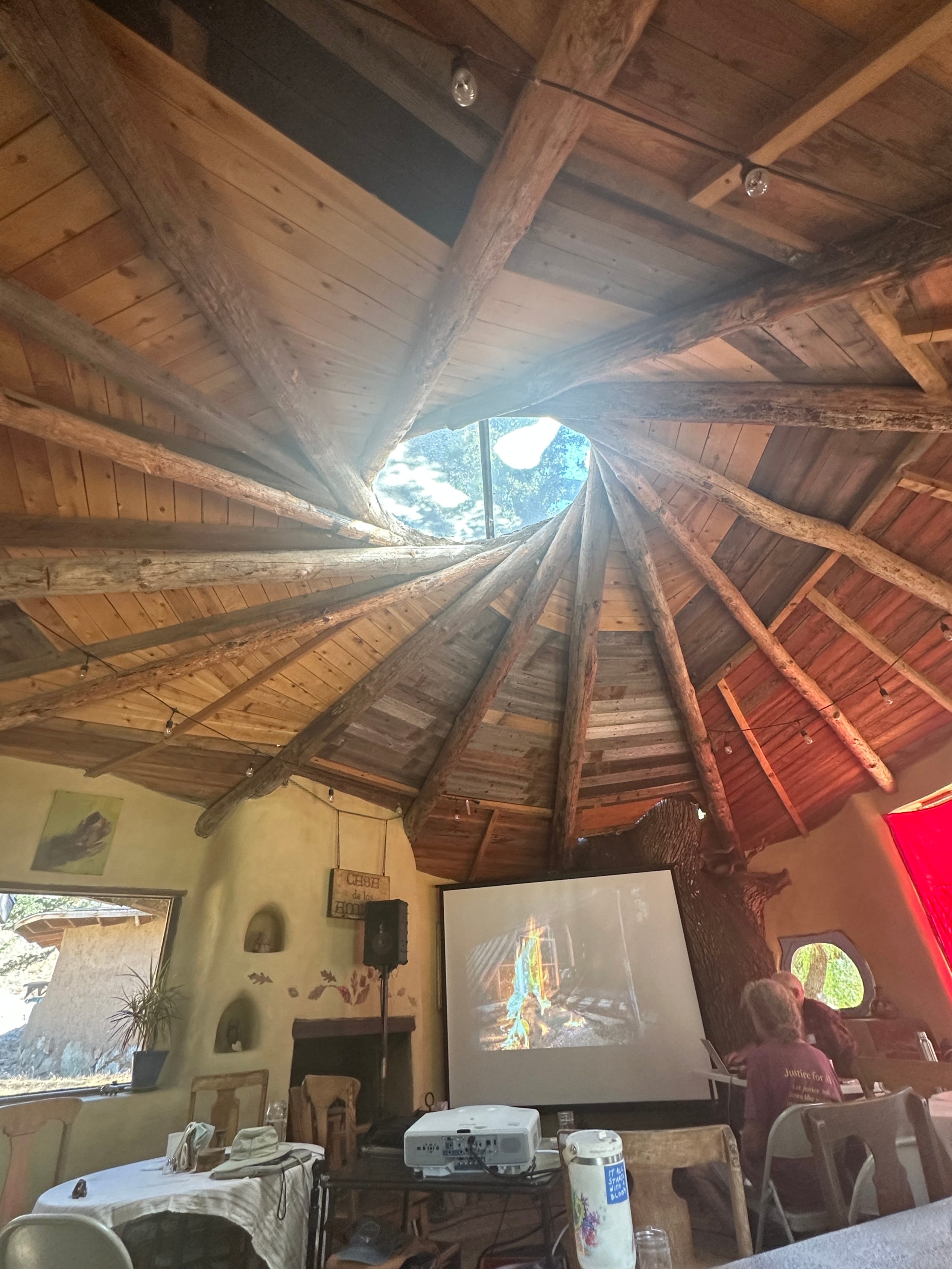 GIMME SHELTER Fall 2025