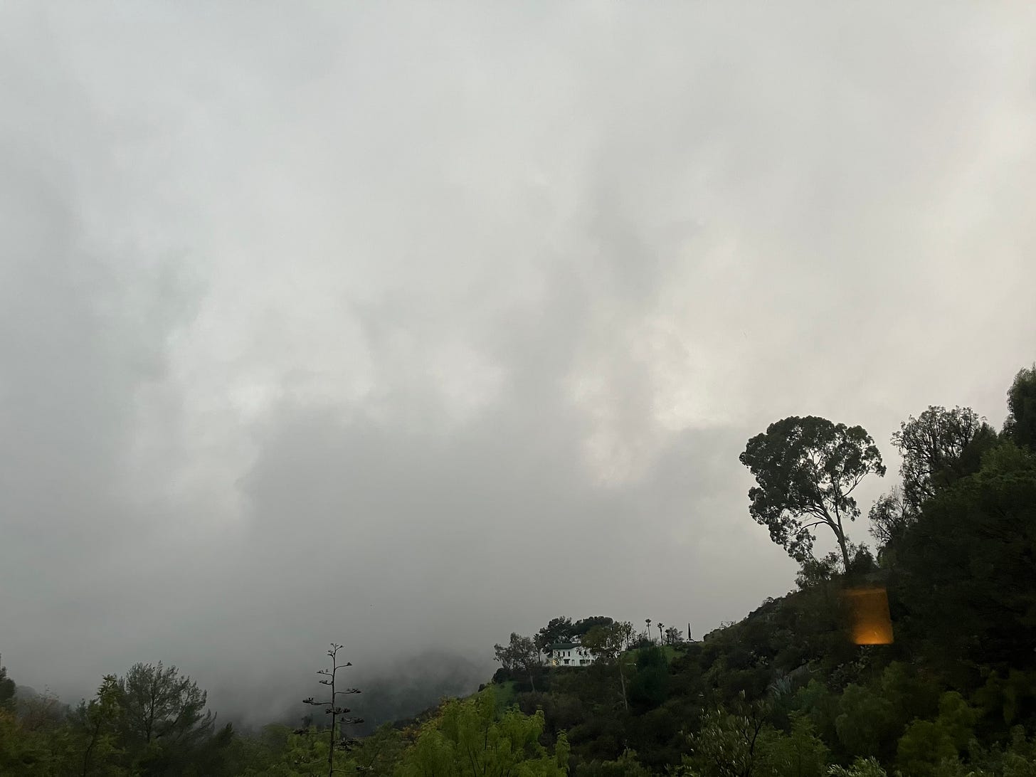 Christmas Eve, Laurel Canyon, 2025