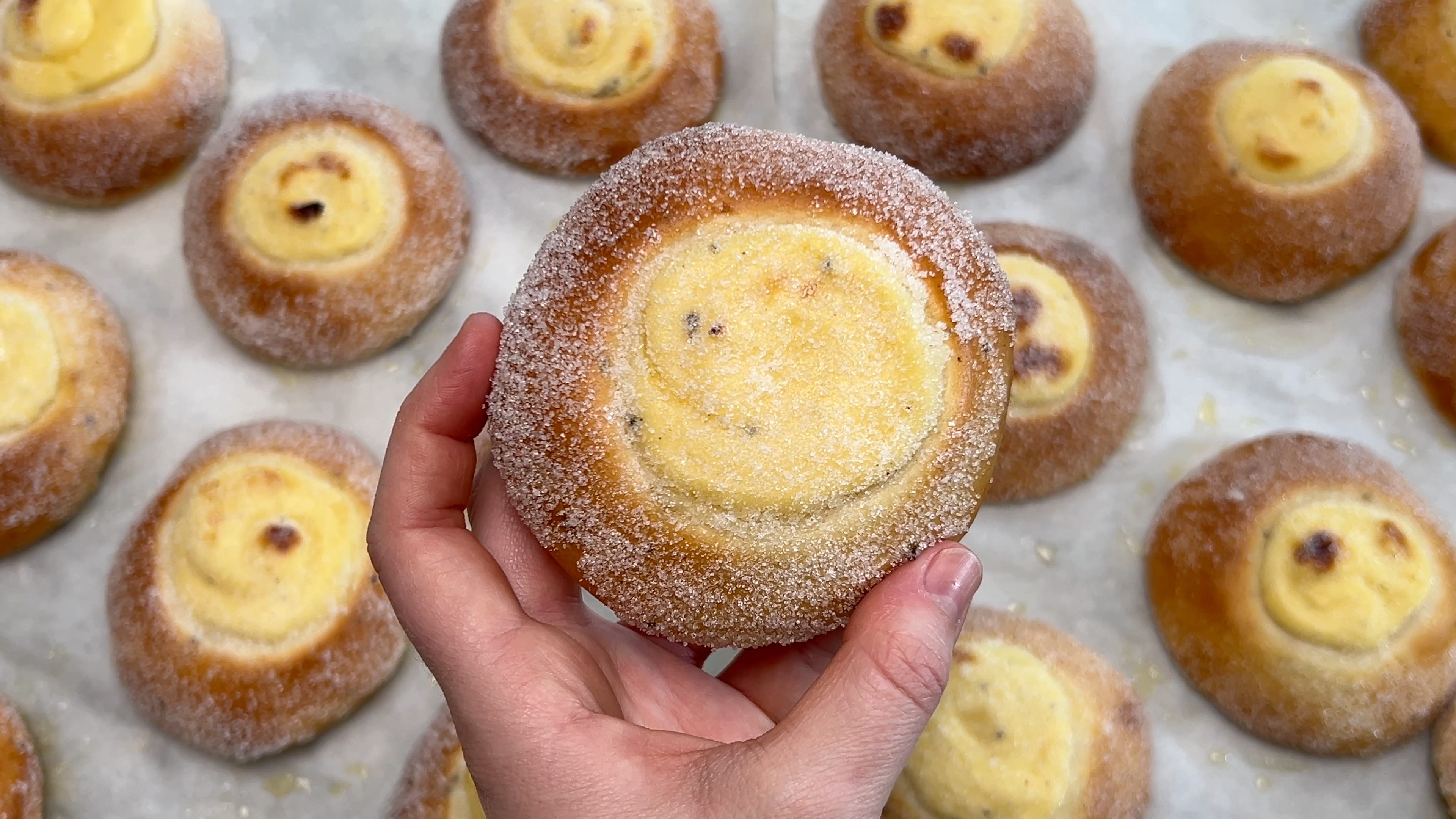 SOLBULLAR | Swedish Sun Buns - by Cecilia Tolone