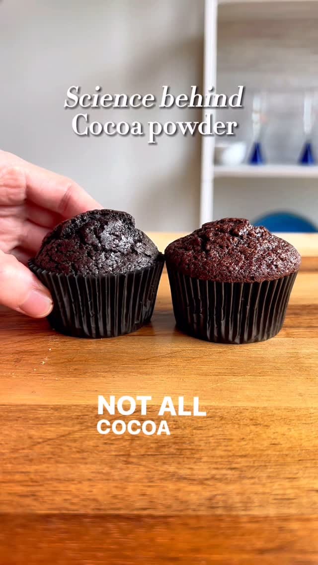 🍫 Cocoa Powder 101: The Science Behind Natural, Dutch, and Black Cocoa ...