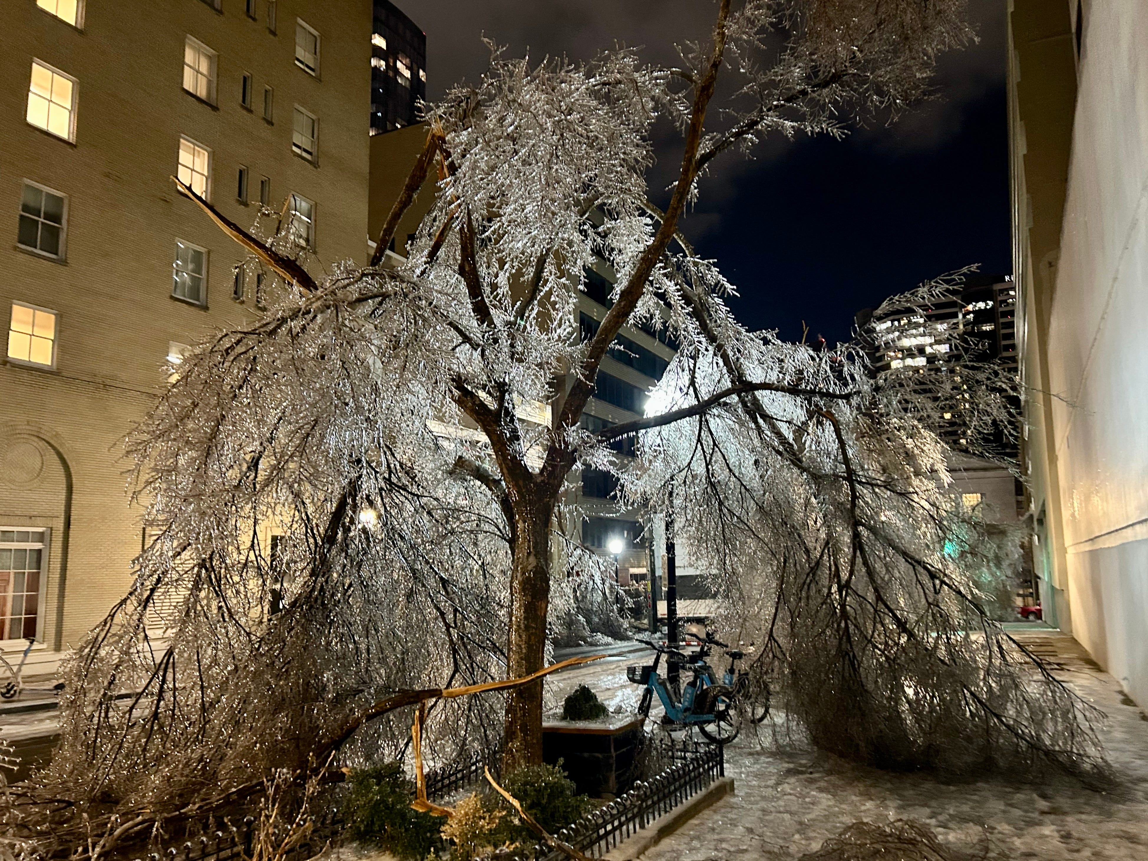 The Roundup: Too much ICE - by Radley Balko - The Watch