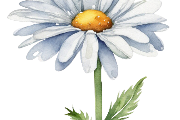 1000 Weeks with Val Spiers | Substack