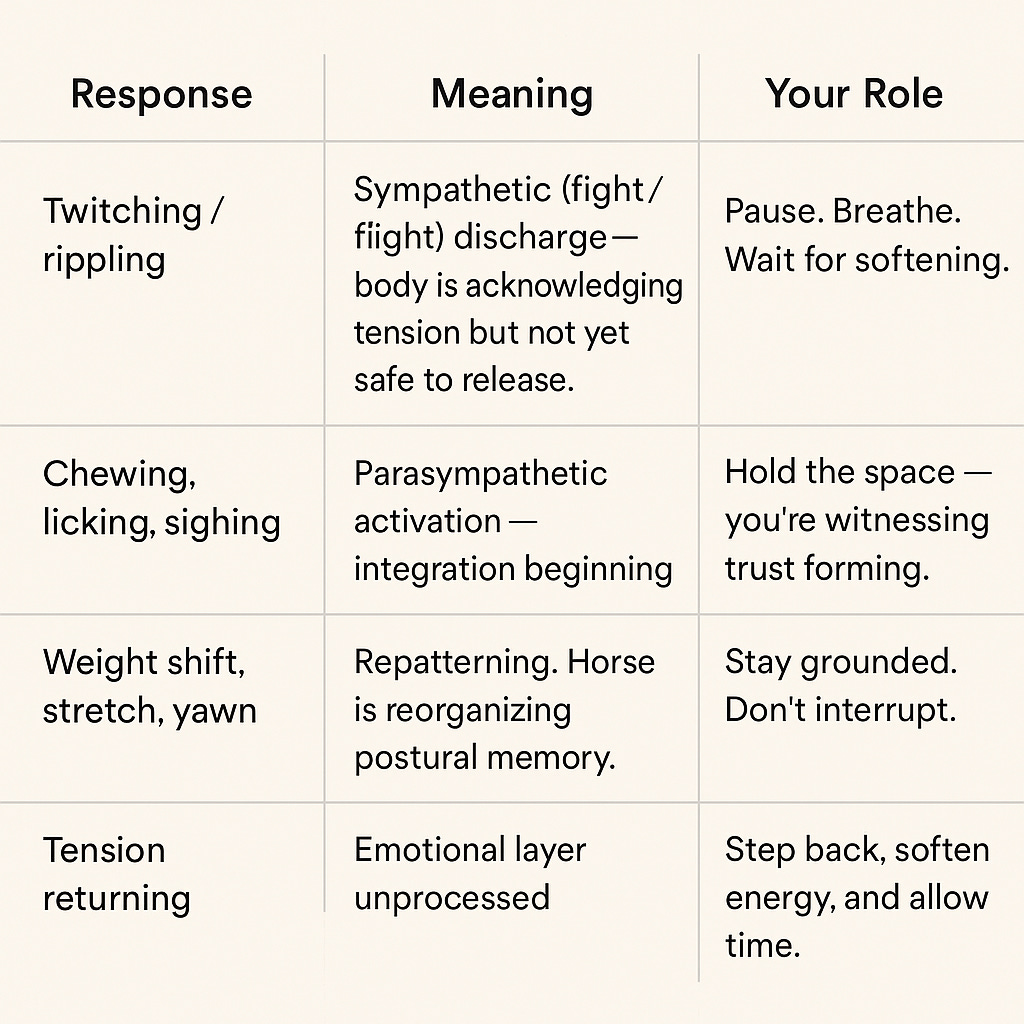 Decoding the Language of Fascia: How to Read the Horse’s Body Through ...