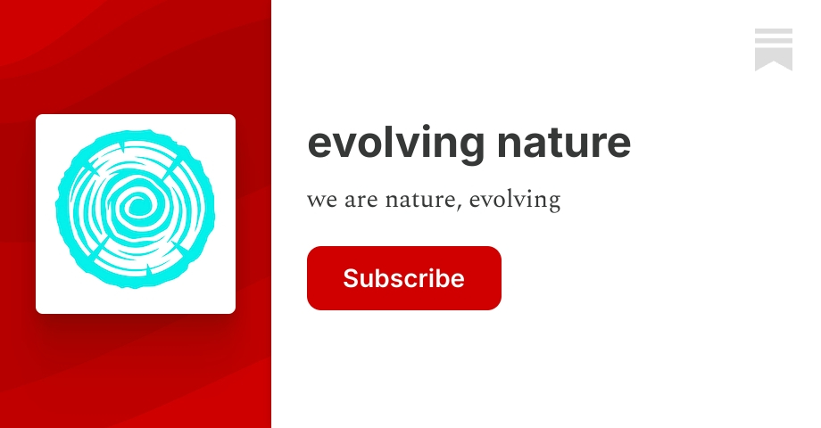 evolving nature | nina wheeler roberts | Substack