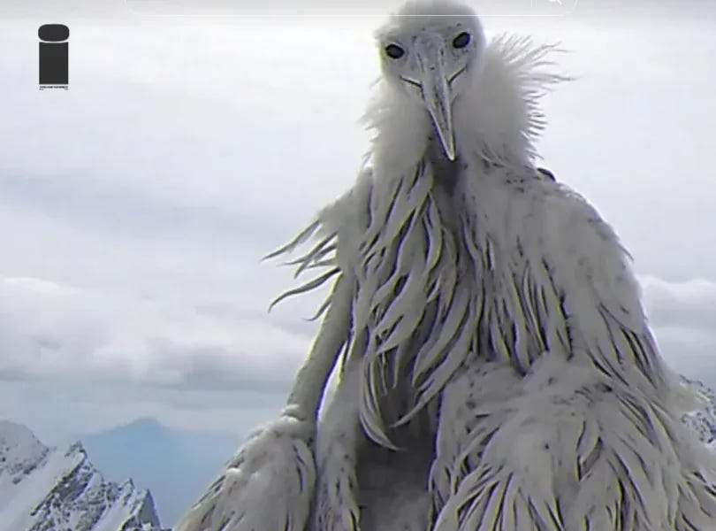 The Opium Bird: How a Fake AI Creature Conquered the Internet