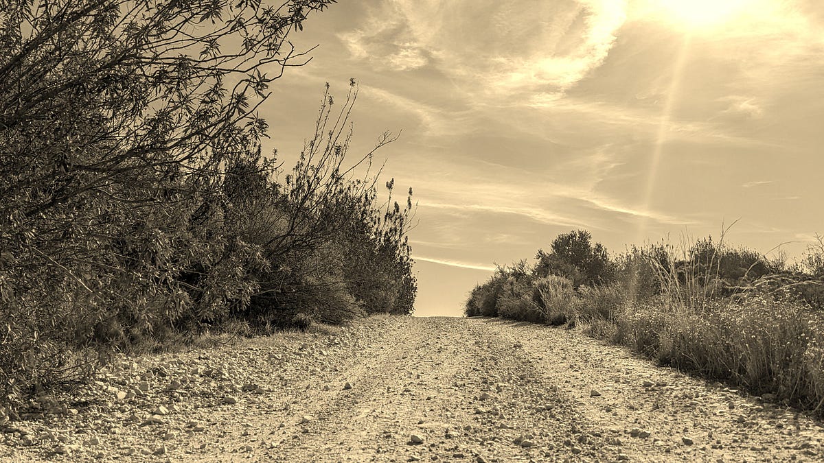 Lord Vagabond - by David Smart - The Realla