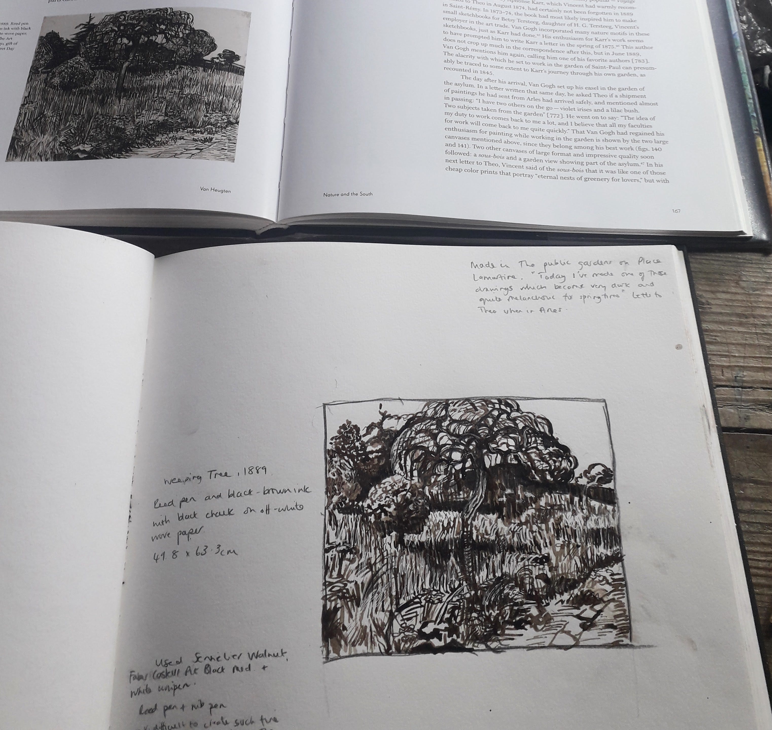 If you go down to the woods... - by Deborah Vass