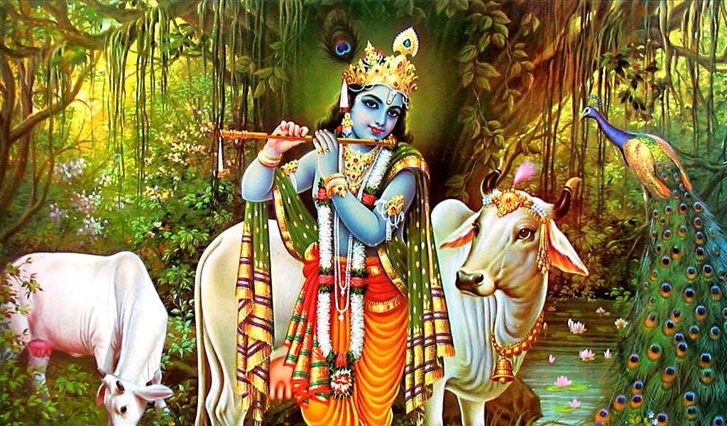 krishna bbc