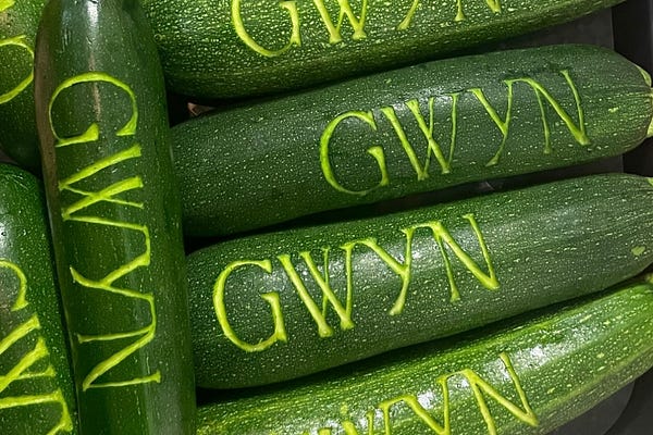 Shop Rat by Emilia Petrarca | Substack