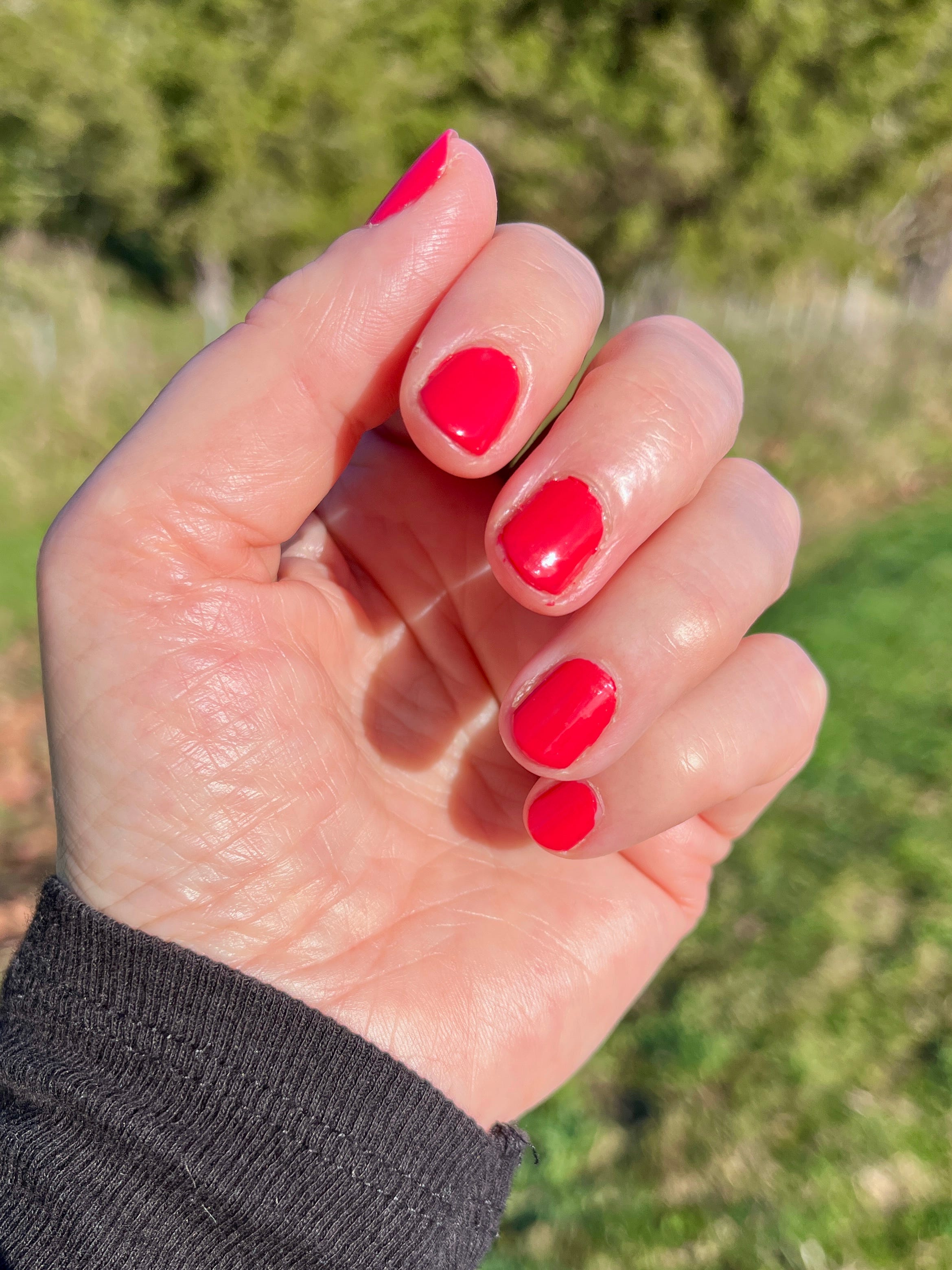 Living chic elegance on a budget - Fiona Ferris Books