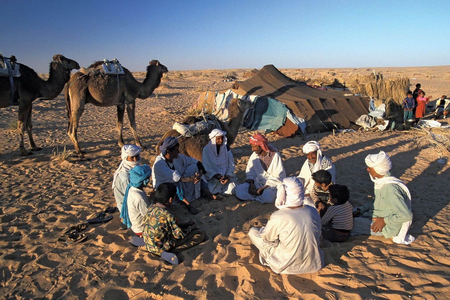 From Arab Tribes to Muslim States (an explainer)